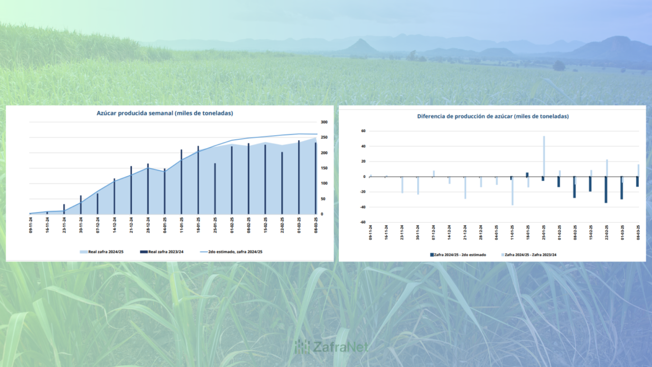 Zafra 2024/25: Panorama de la producción de azúcar en México - Zafranet