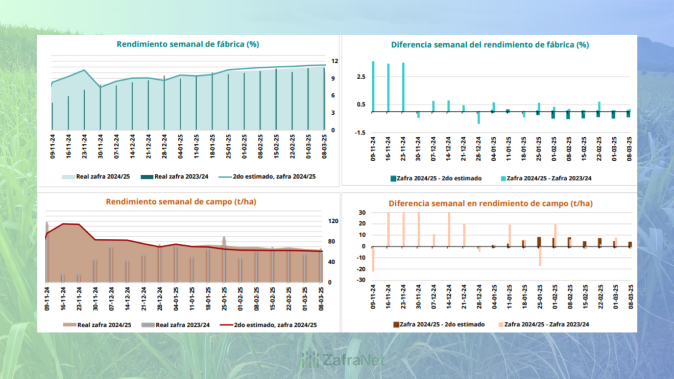 Zafra 2024/25: Panorama de la producción de azúcar en México - Zafranet