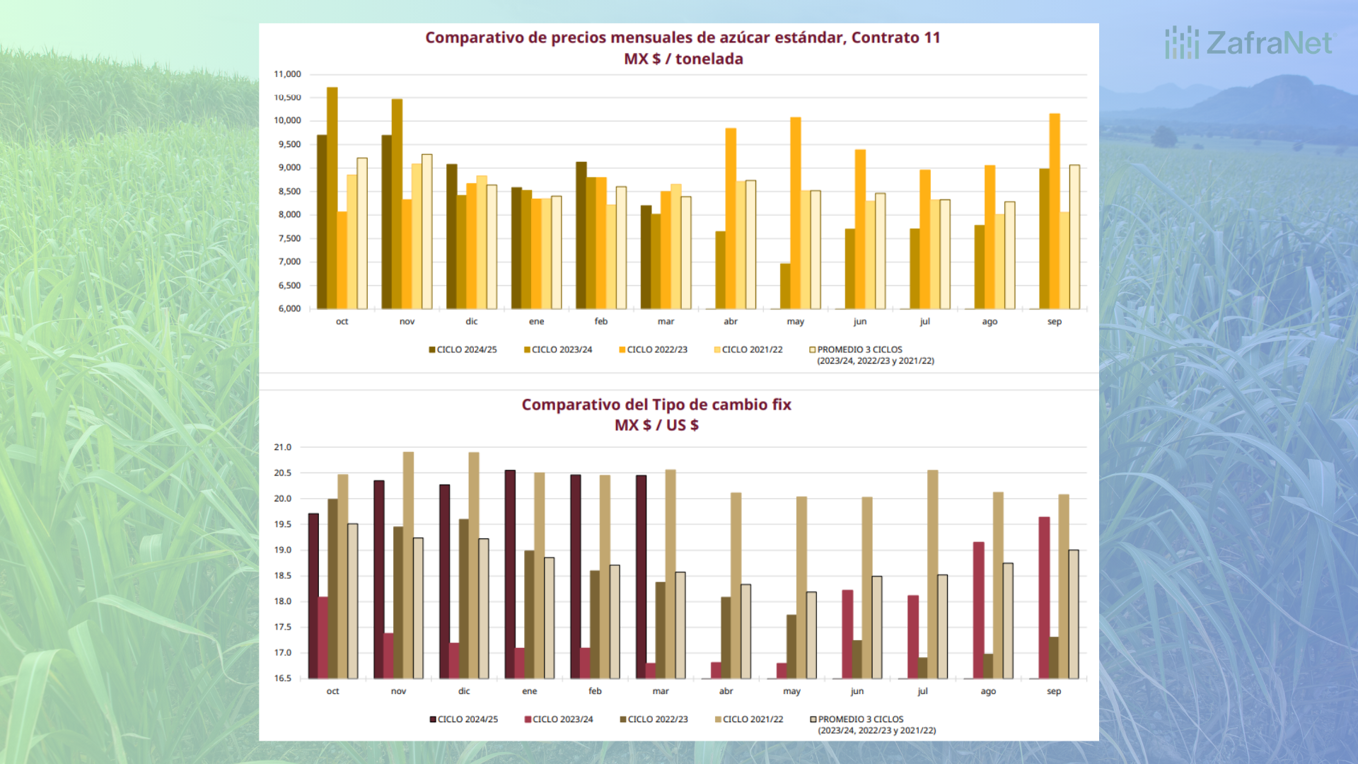 Precios del azúcar en México registran variaciones mixtas al 7 de marzo ...